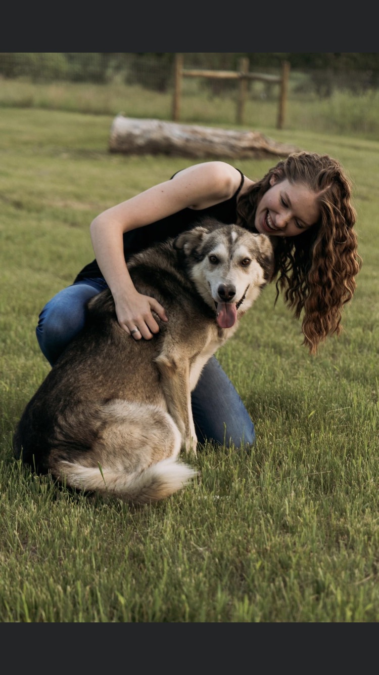 Donate – Diva Dogs Racing